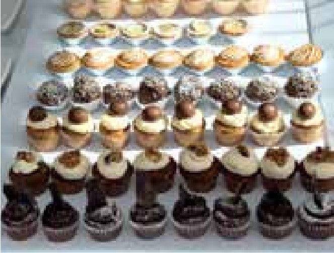 Assorted Petite Cakes